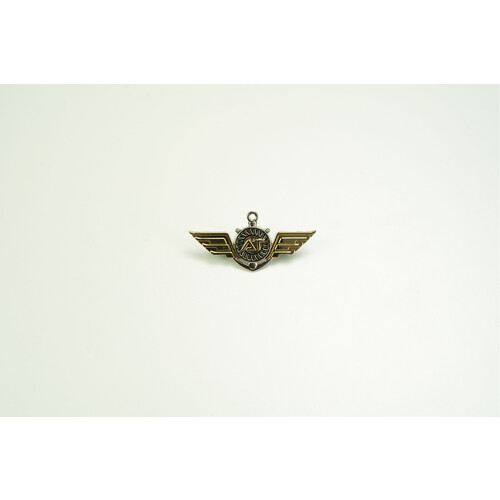 BADGE AT WING METAL